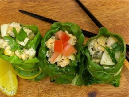 Spicy Lentil Summer Rolls – Sproutpeople