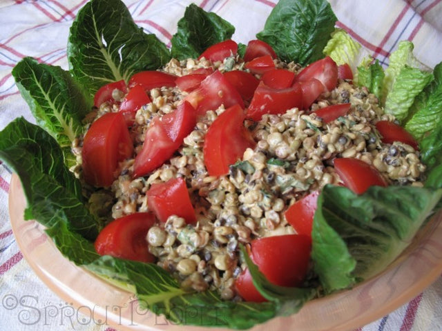 Sprouts & Microgreens Recipes – Sproutpeople