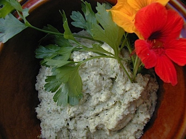 Sprouts & Microgreens Recipes – Sproutpeople