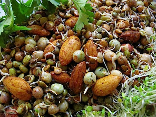 Sprout Hummus – Sproutpeople