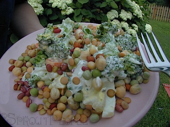 Awesome Potato Salad – Sproutpeople