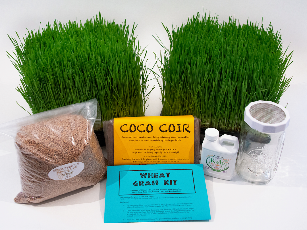 Sprout Kits – Sproutpeople