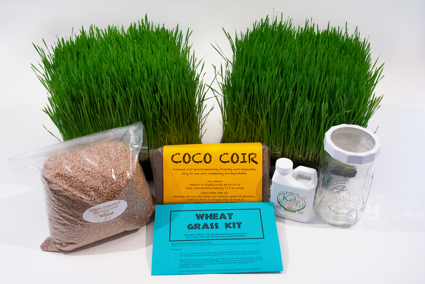 Wheat Grass Kit – Sproutpeople