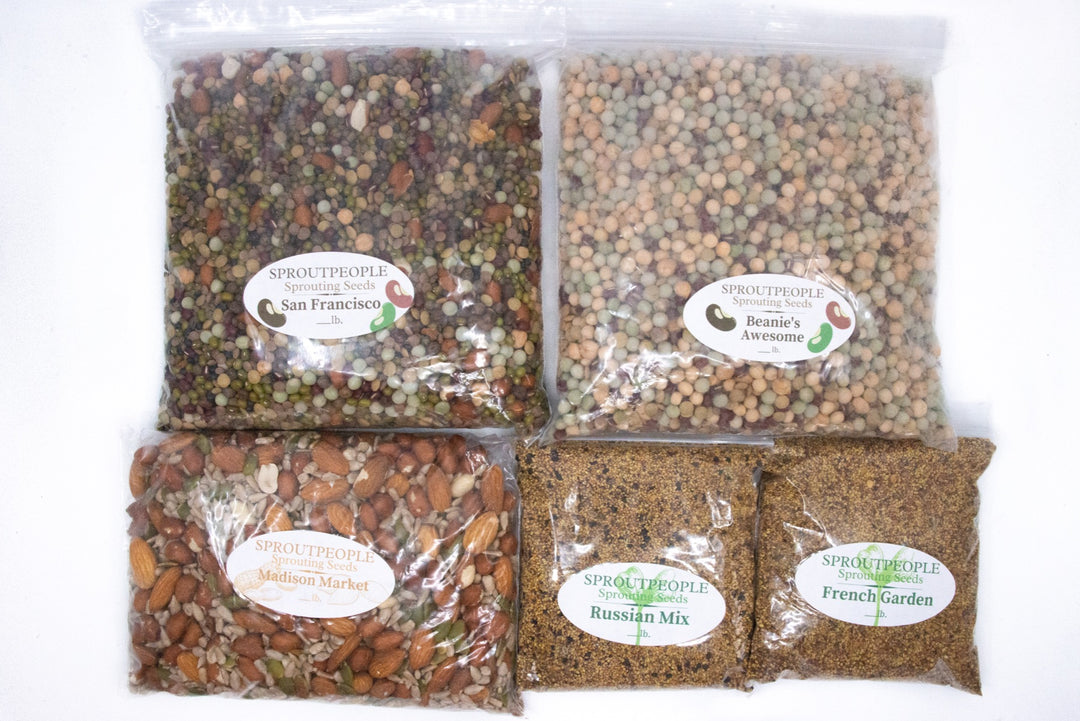 Best of the Best of the Best Sprouting Kit – Sproutpeople