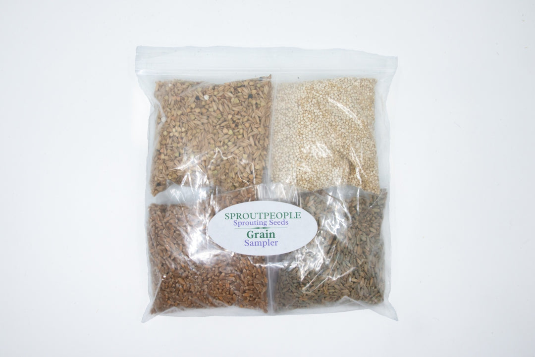 Grain Sprout Sampler – Sproutpeople