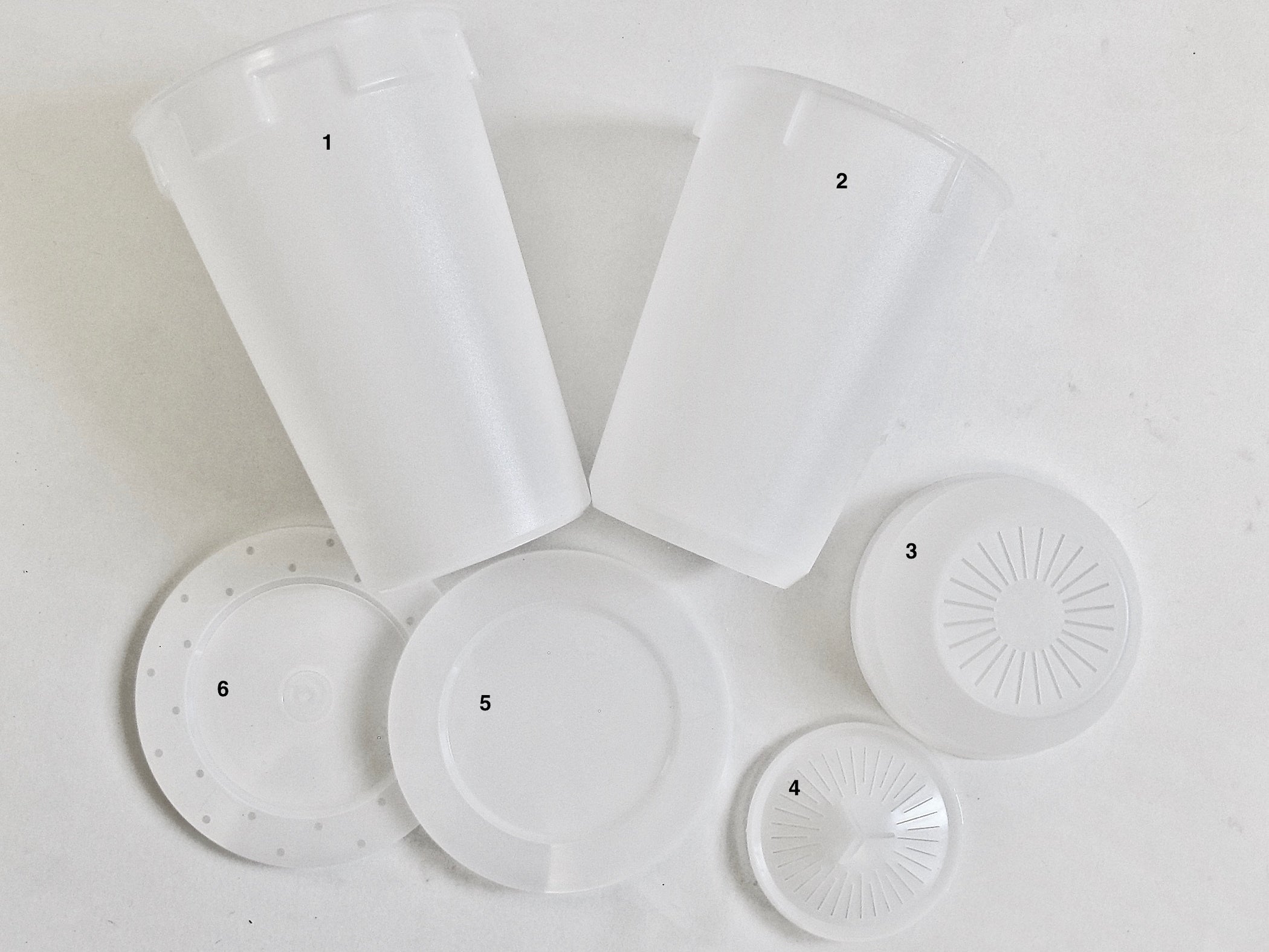 Easy Sprout Sprouter – Sproutpeople