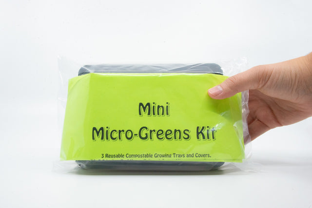 Mini Micro-Greens Kit – Sproutpeople