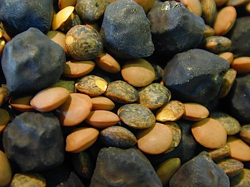 Neville's Midnight Moon Sprout Mix – Sproutpeople